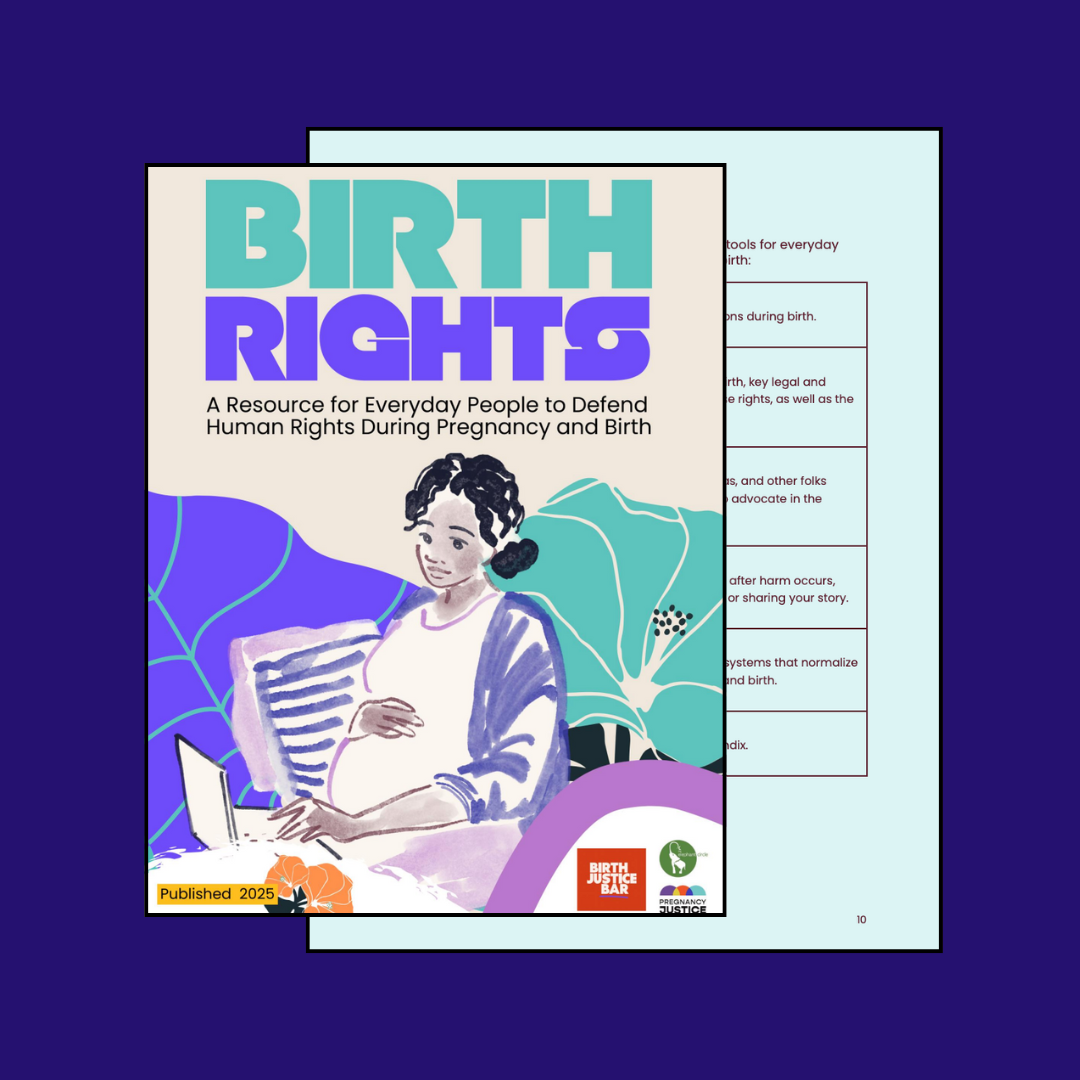 Birth Rights: A Resource for Everyday People to Defend Human Rights ...