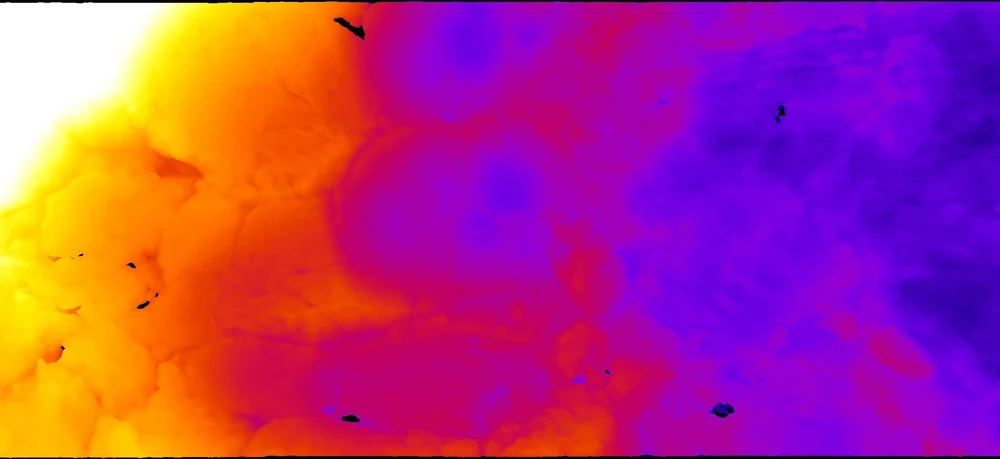 Selected publications — Gallini Lab