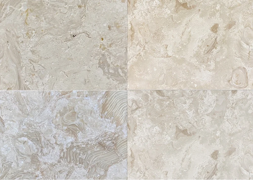 Mediterranean Shellstone — KW STONE GROUP