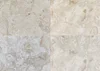Mediterranean Shellstone — KW STONE GROUP