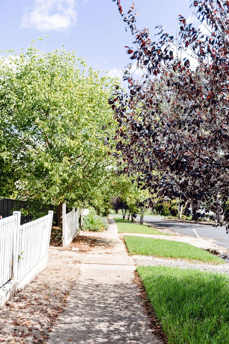 Explore Molong — SONA Molong