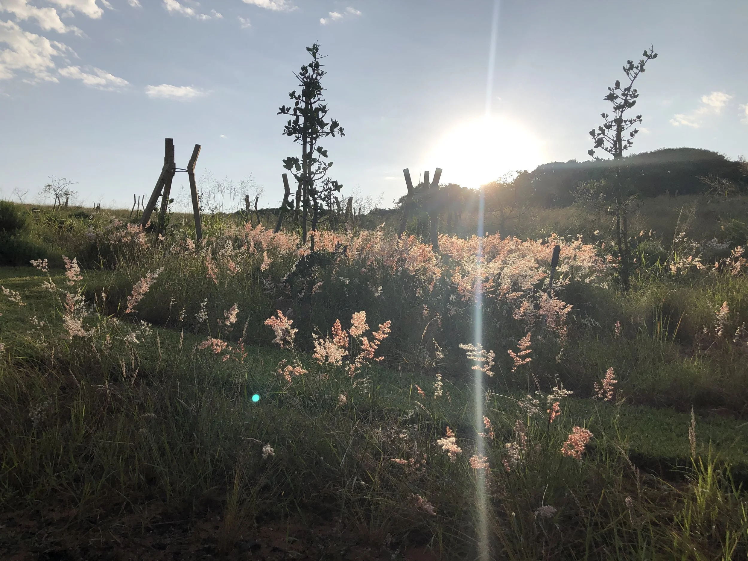 About — Land Art Studio