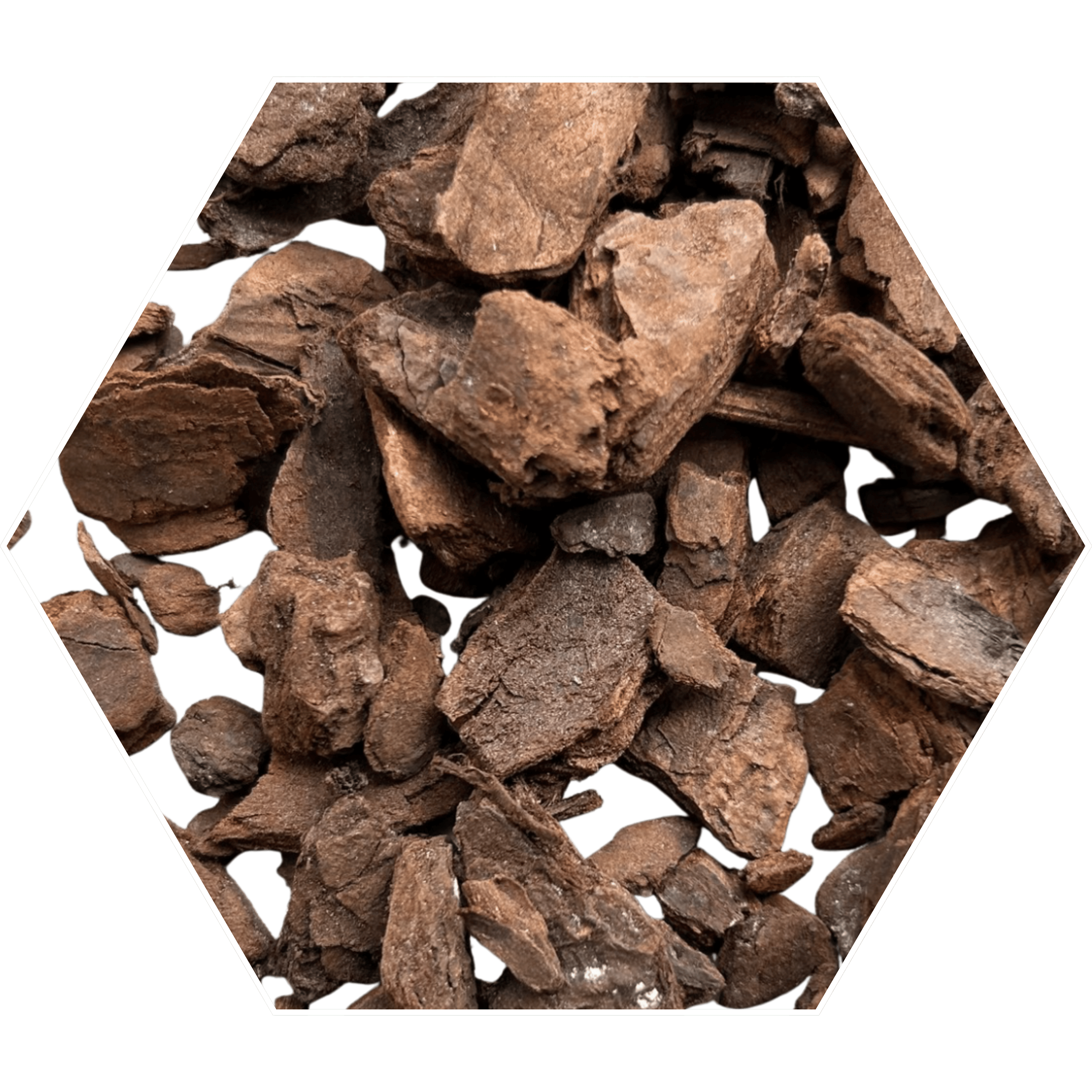 The Real Science of Potting Media. — HABIT Plants
