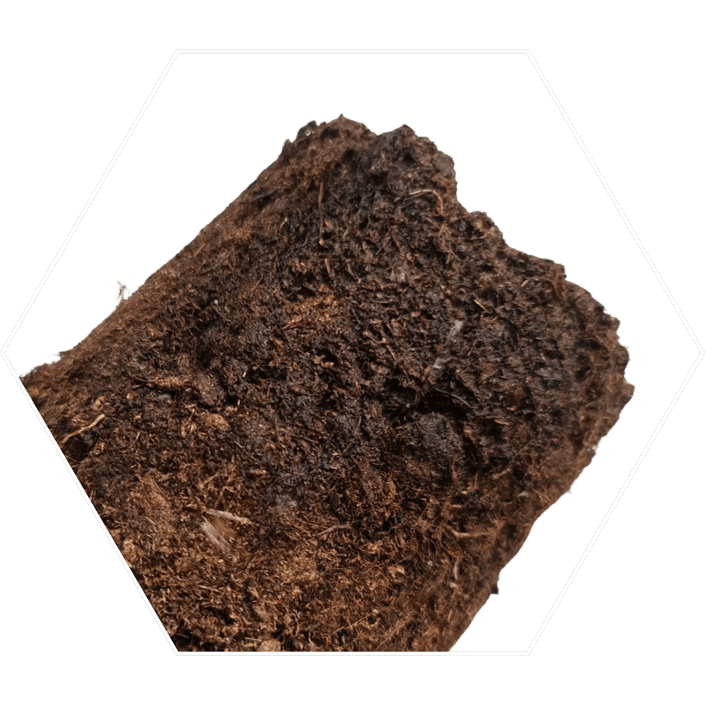 The Real Science of Potting Media. — HABIT Plants