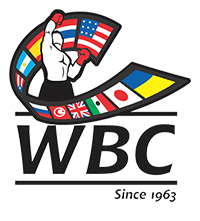 Inclusive Boxing — WBC Cares UK
