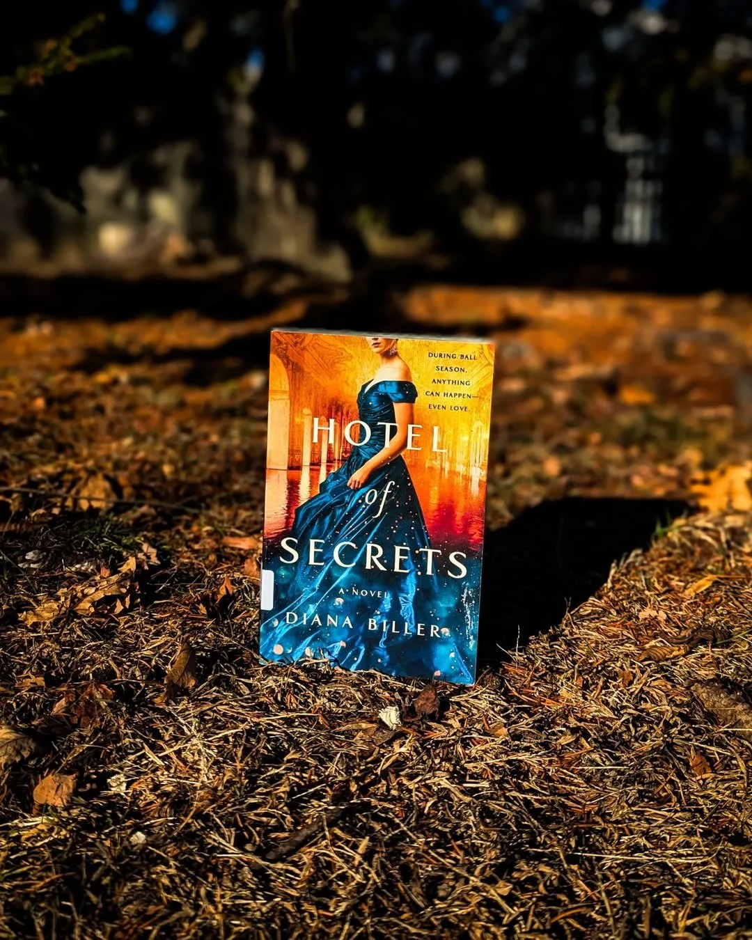 hotel of secrets. — Nicole Brinkley
