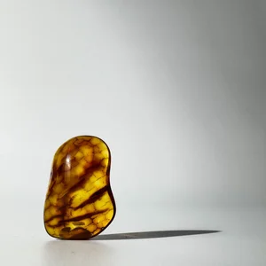 5 Tests for Fake Amber — Kiss My Crystal