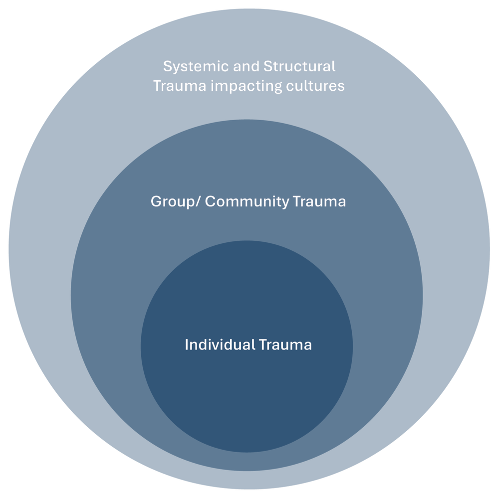 Trauma Informed and Trauma Responsive Care — Imroc