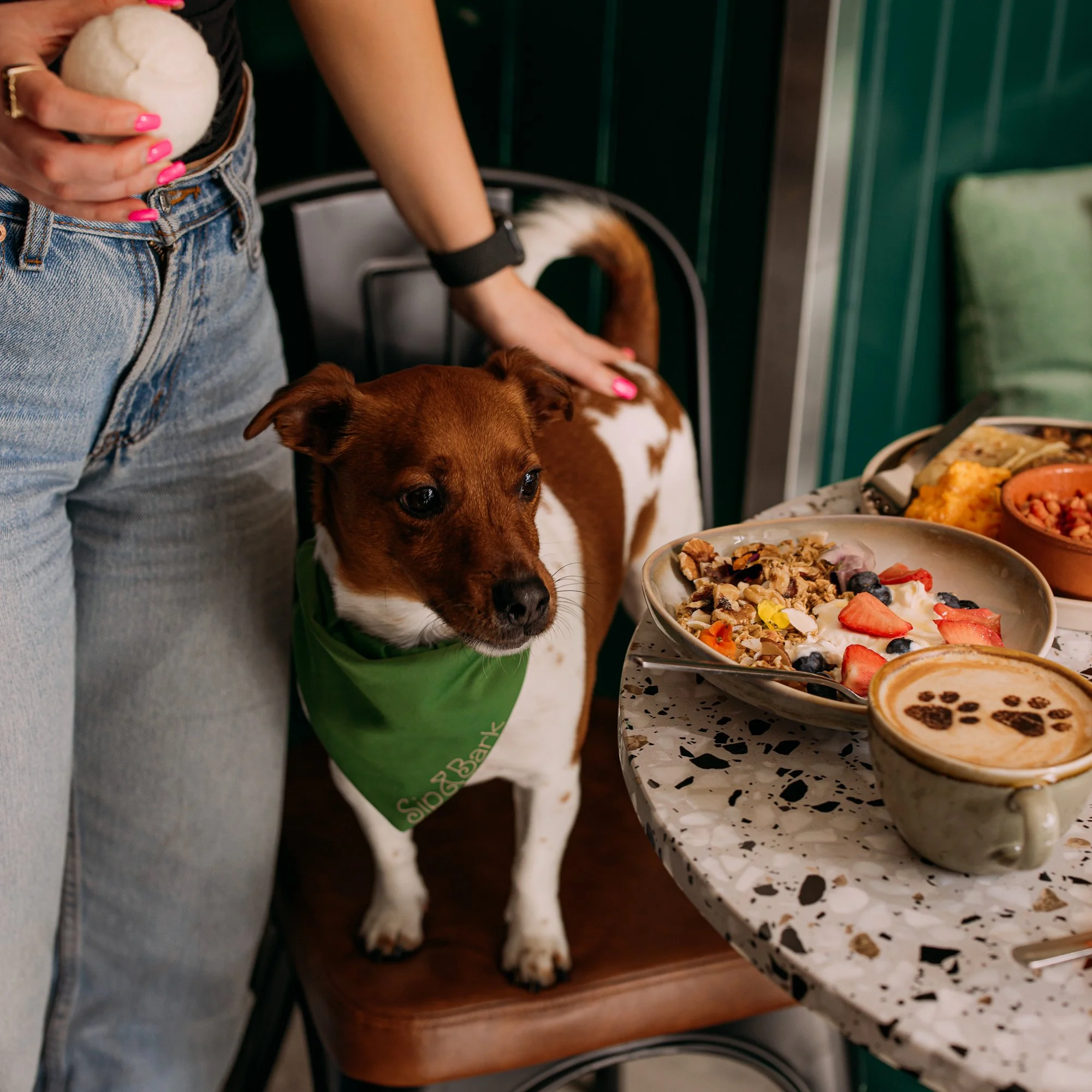 Sip & Bark Menus - Sip & Bark