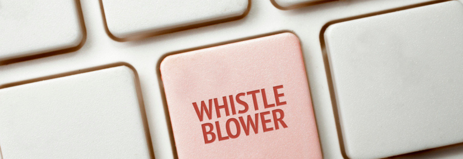 Fourth Circuit: MSPB Can't Adjudicate "Mixed Case" of EEO Claims, IRA ...