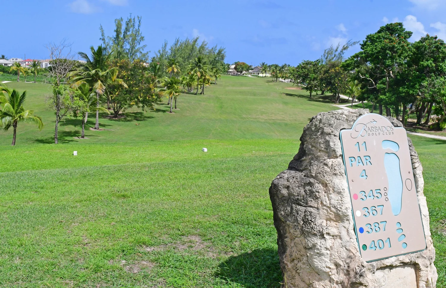 The Course — Barbados Golf Club