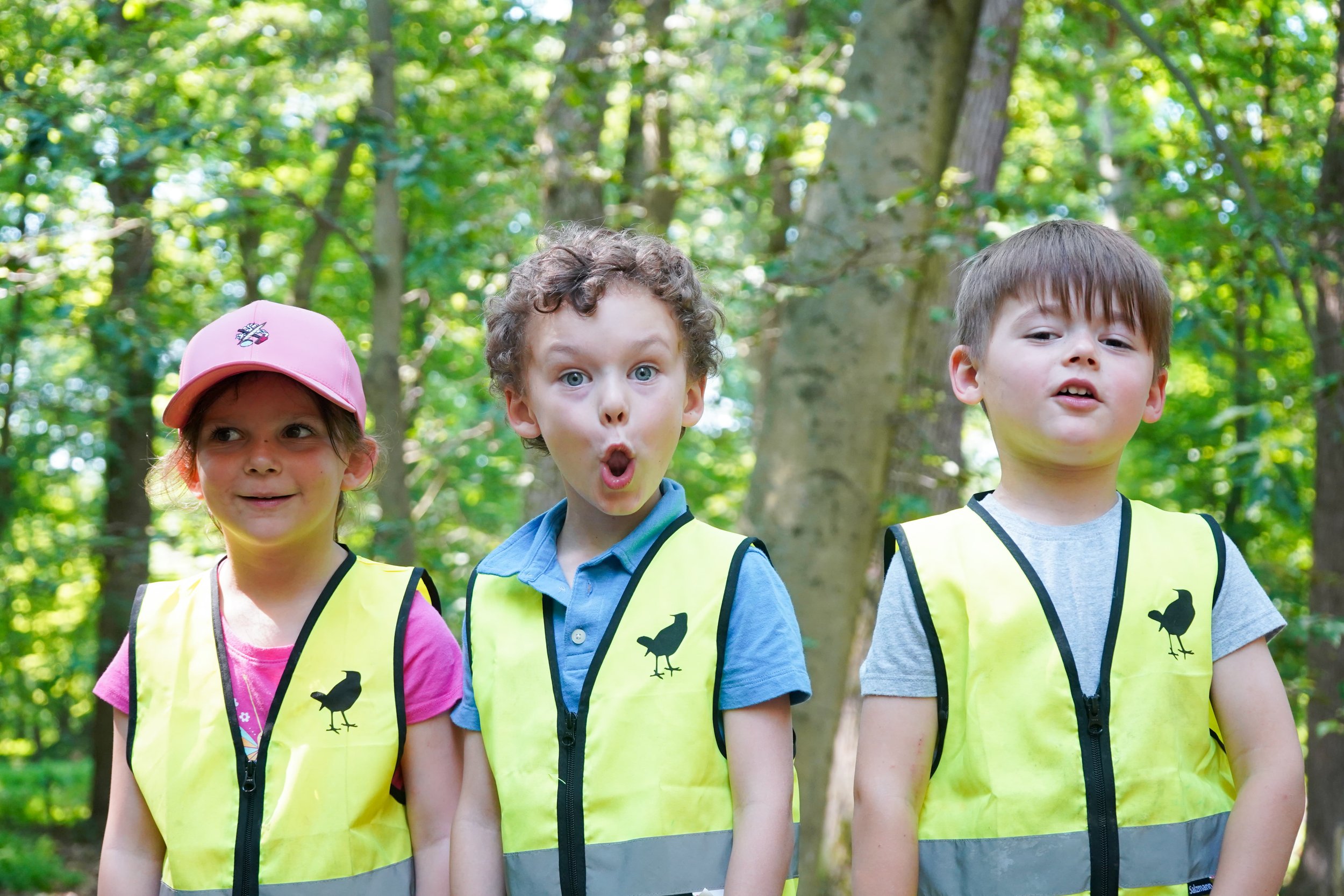 Forest Preschool — Friends of Rye Nature Center