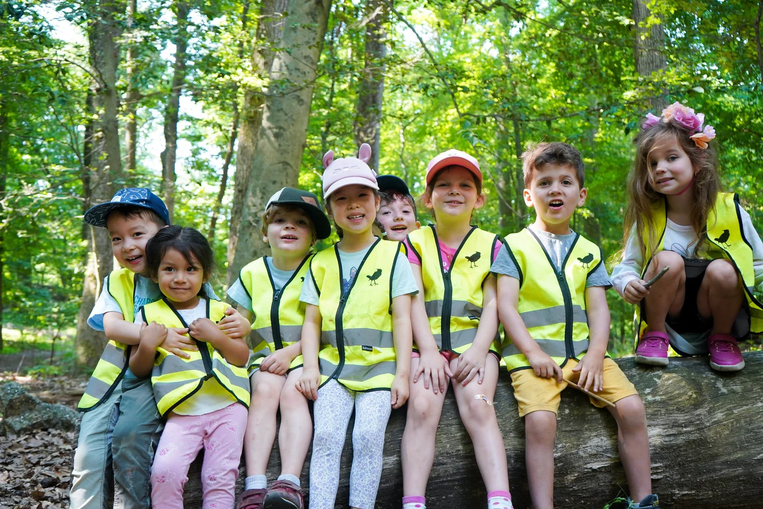 Forest Preschool — Friends of Rye Nature Center