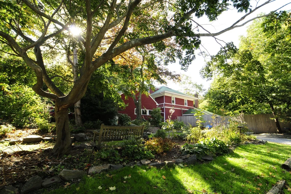 Summer Camp at RNC — Friends of Rye Nature Center