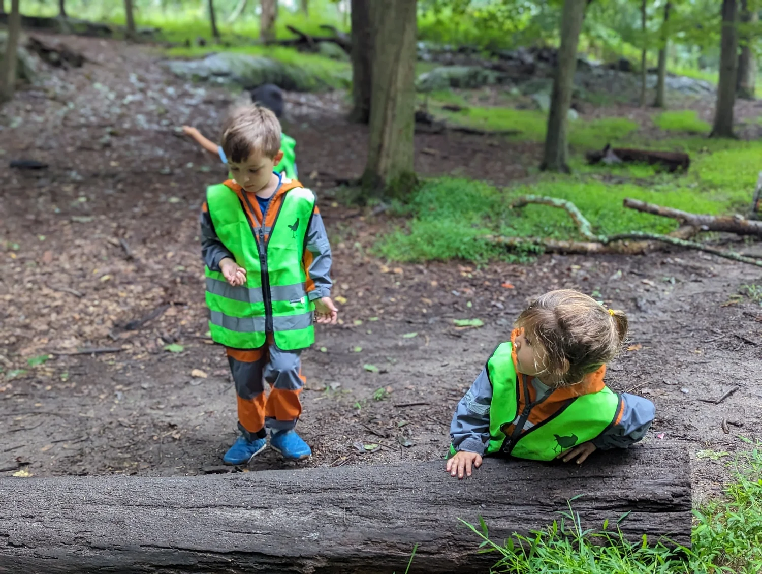 Forest School Programs — Friends of Rye Nature Center