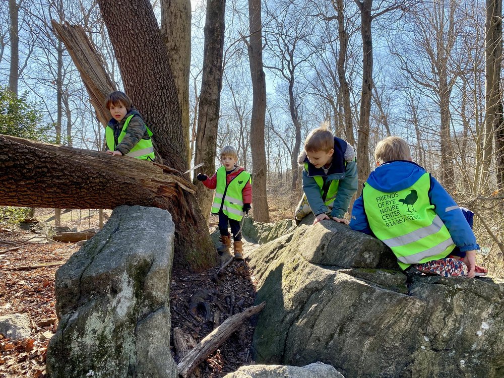 Forest School Programs — Friends of Rye Nature Center