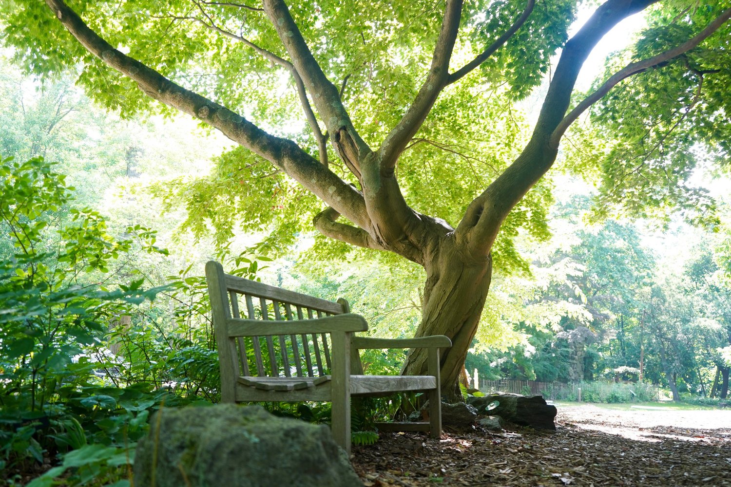 Friends of Rye Nature Center