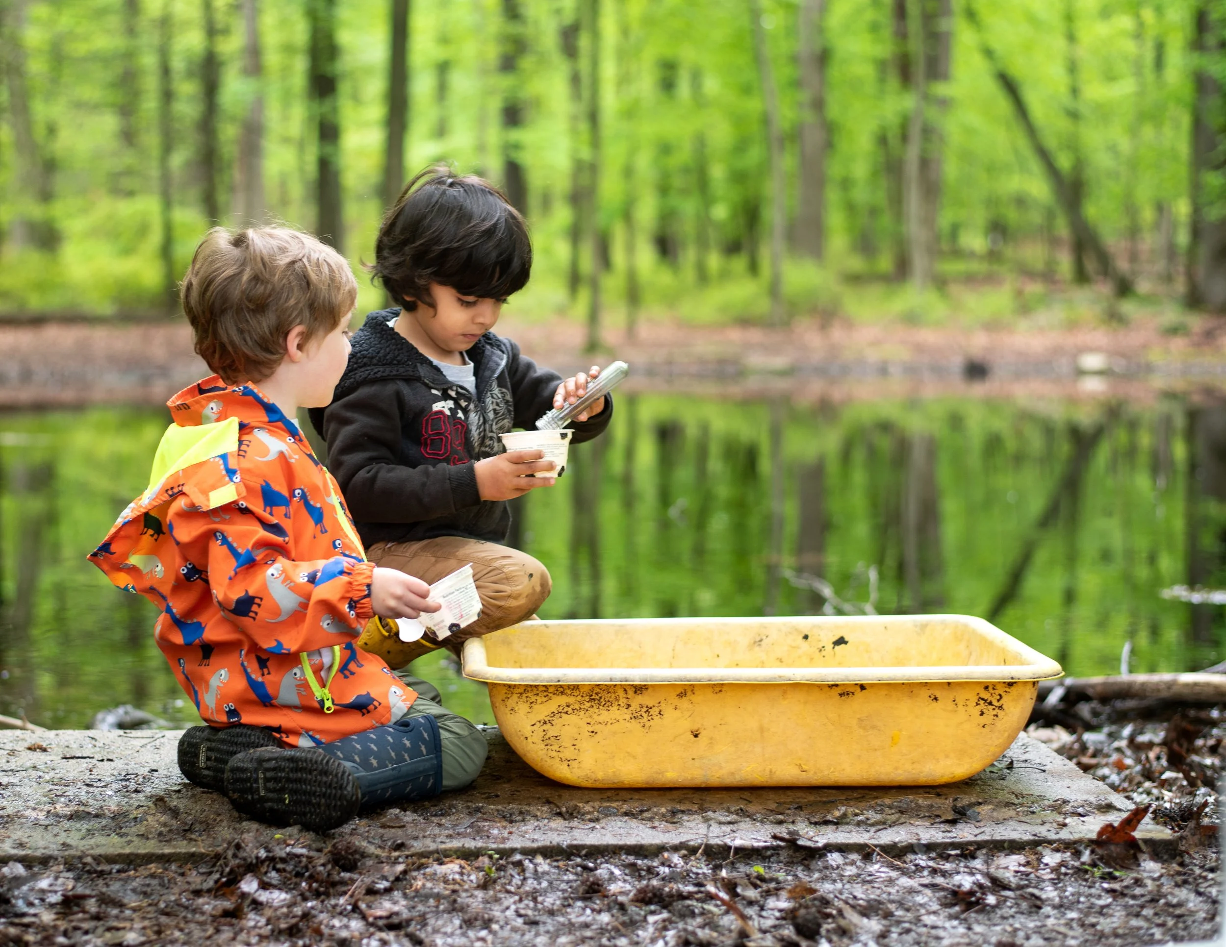 Forest School Programs — Friends of Rye Nature Center