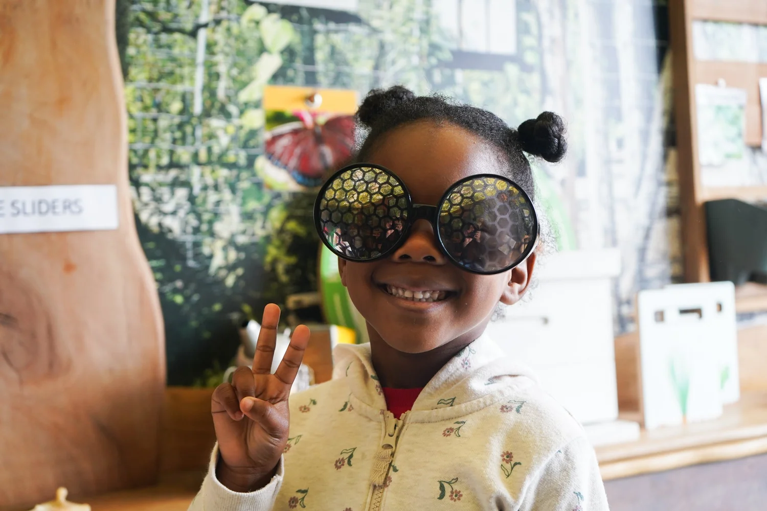 Forest School Programs — Friends of Rye Nature Center