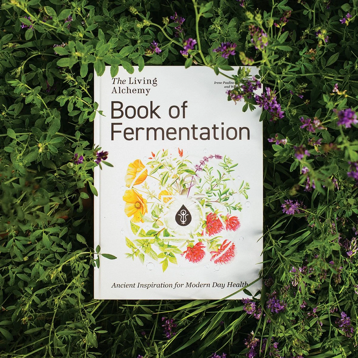 Share the wisdom of fermentation with Living Alchemy’s new book — CNHR