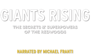 Giants Rising - A feature documentary