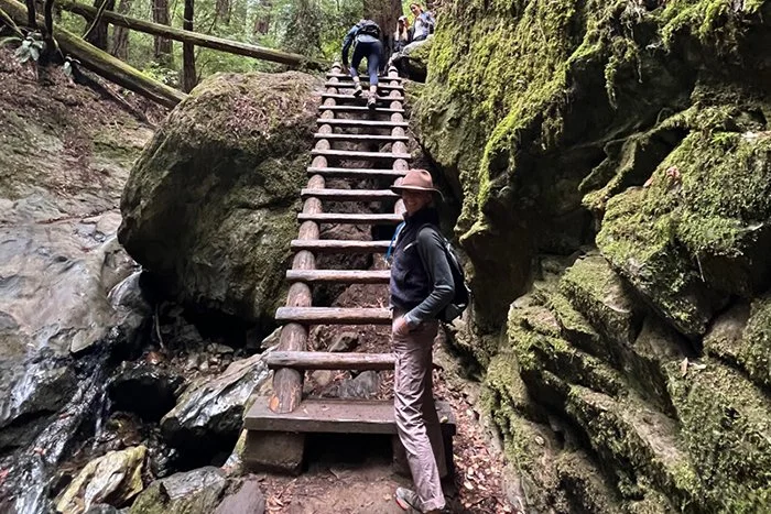 Giants Rising - A feature documentary