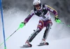 Ski Technique — Alpine Race Method