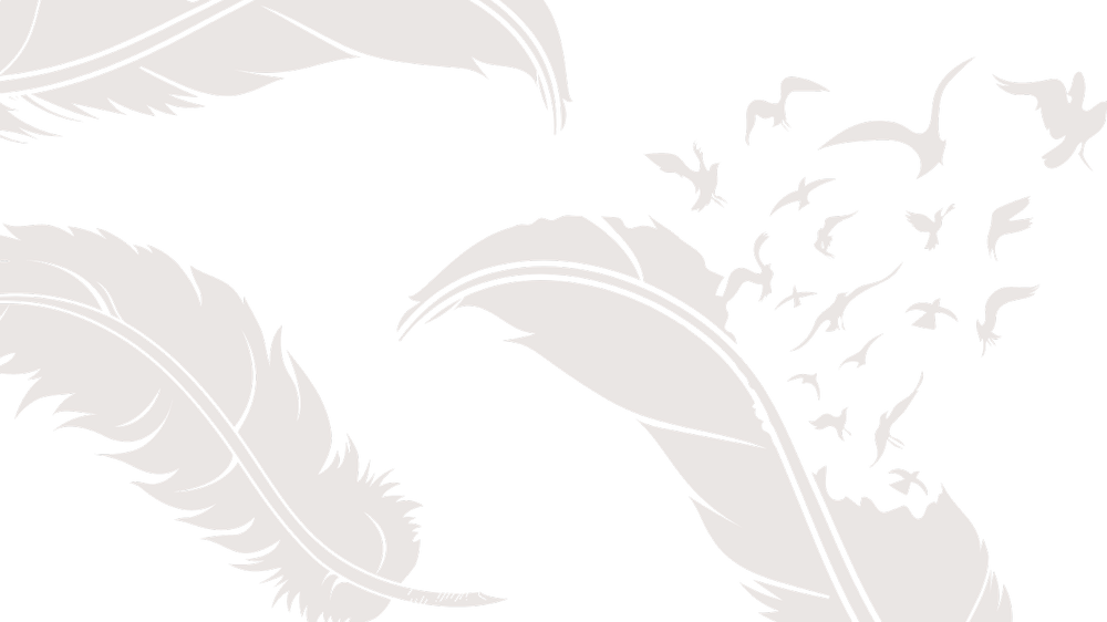 Steel Feather Senior Fitness