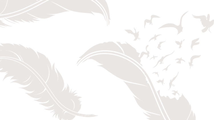 Steel Feather Senior Fitness