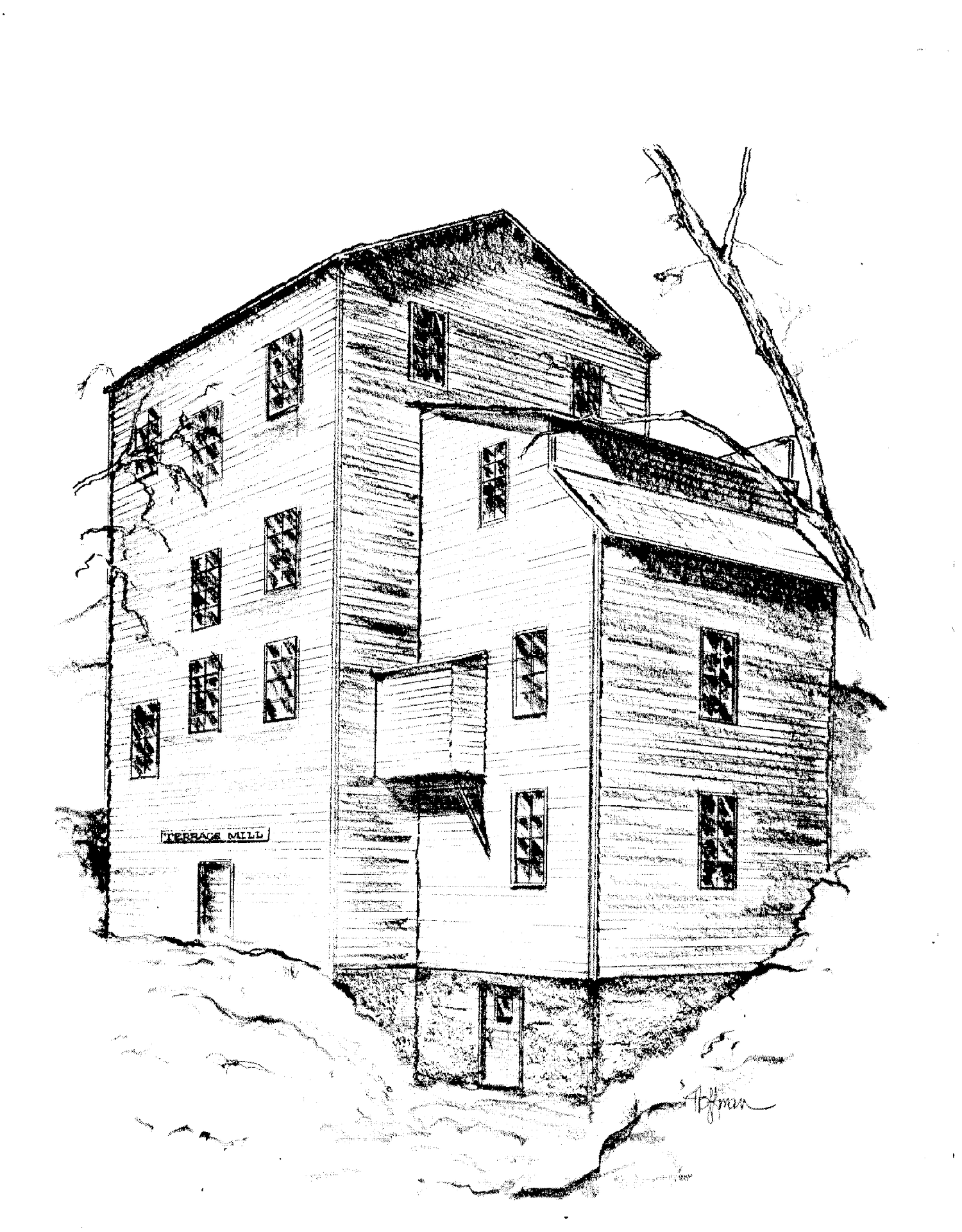 TERRACE MILL FOUNDATION