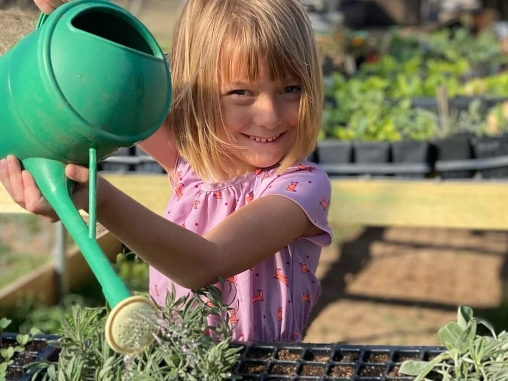 Friday Farm School — Nature Farm School