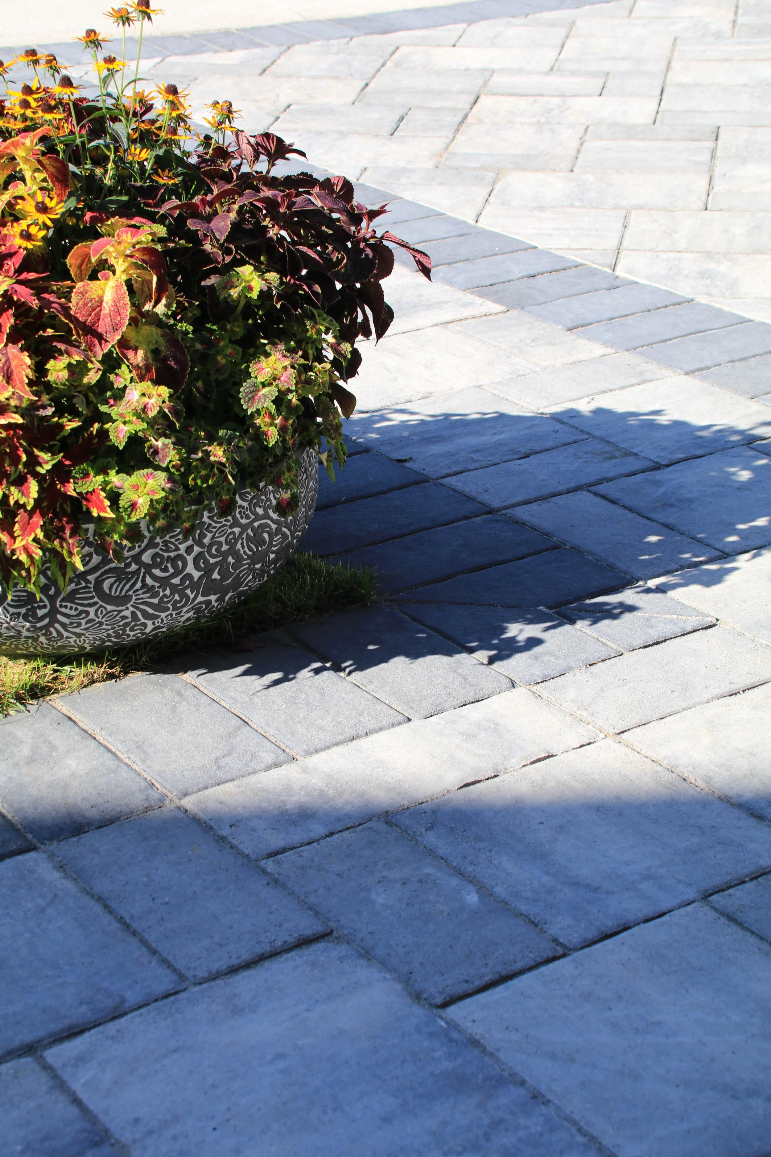 Pavers — Creative Landscape Depot