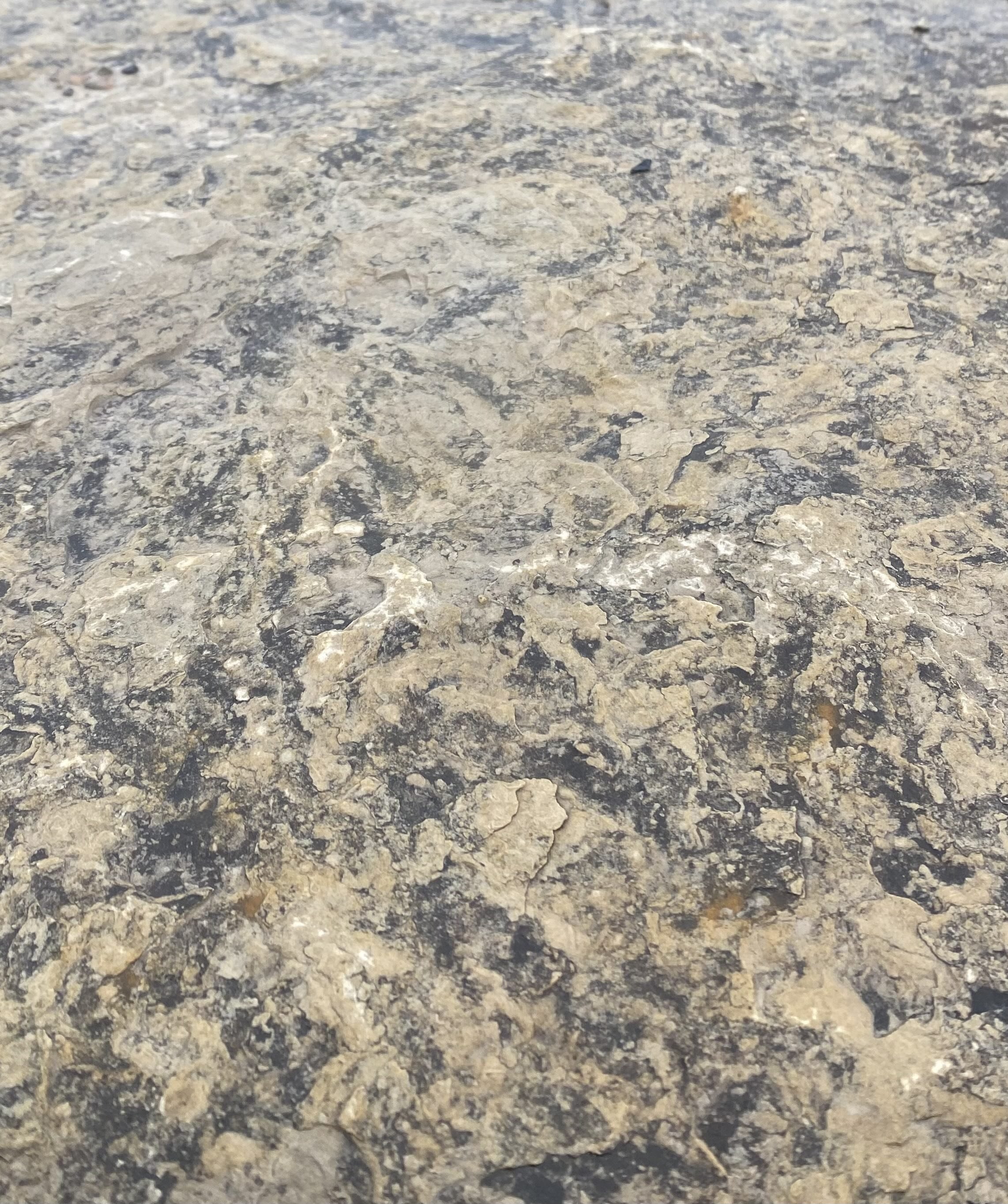 Architectural — Creative Landscape Depot