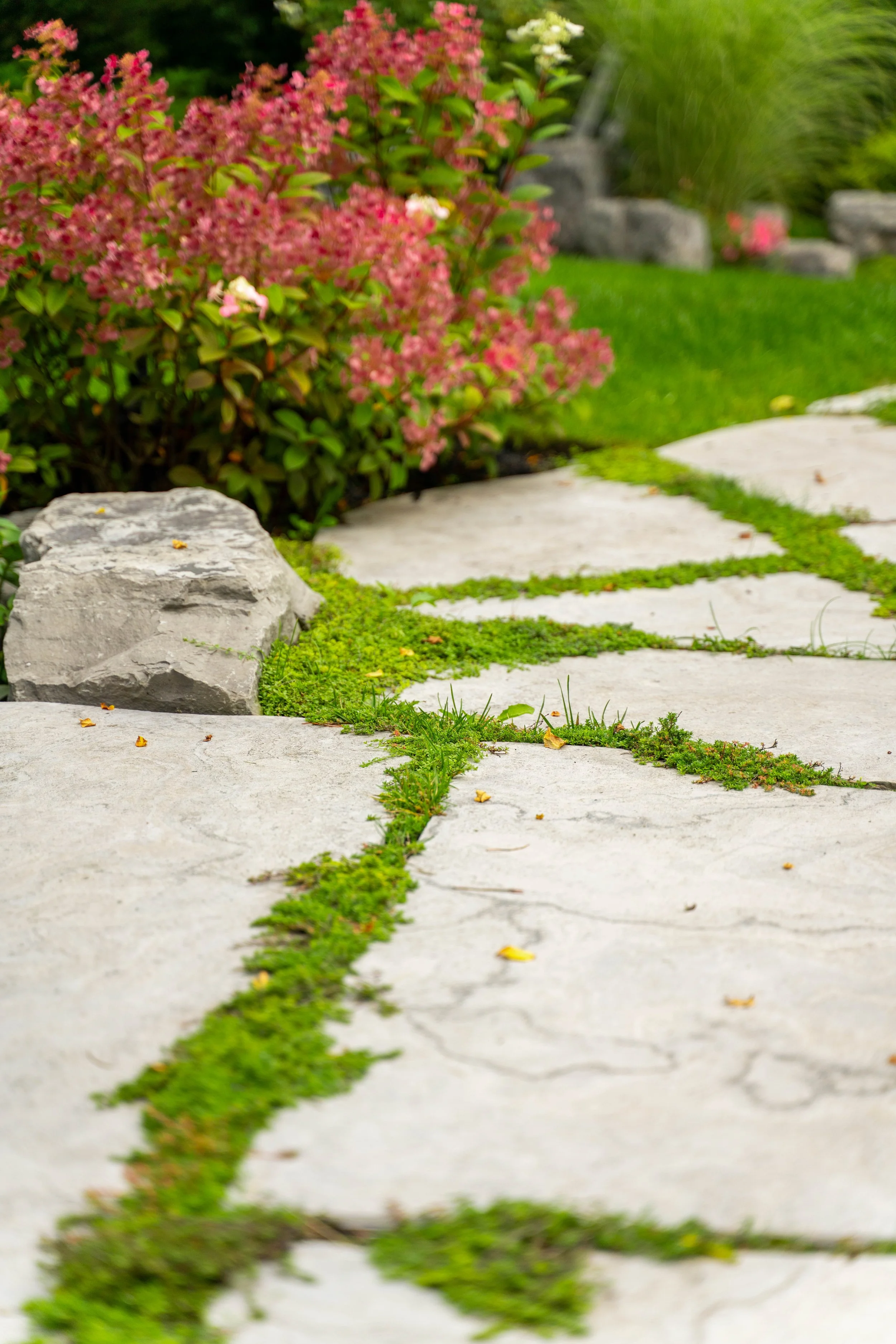 Flagstone — Creative Landscape Depot