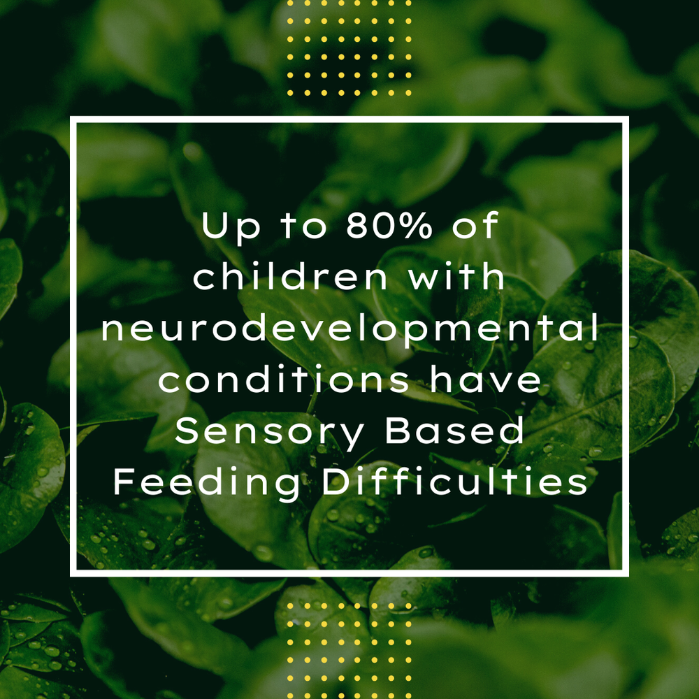 Sensory Nutrition and Feeding Therapy