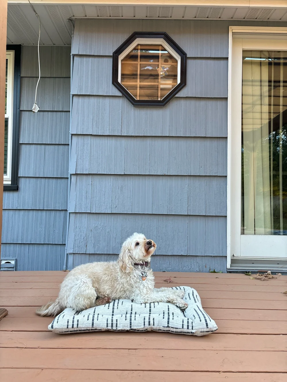 Shop — Nicole Crowder Upholstery