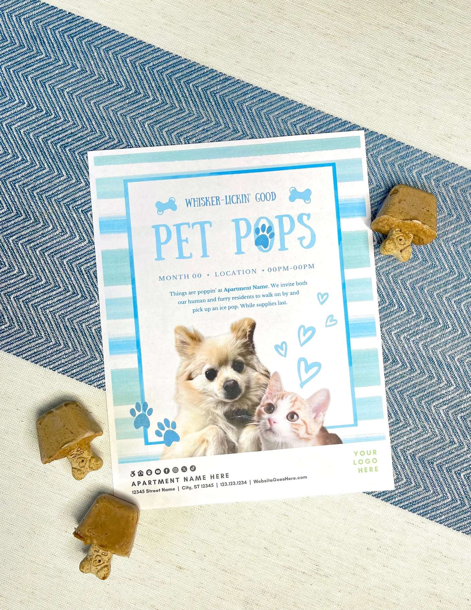 Creative Ways to Integrate Pet-Friendly Touches in Your Apartment ...
