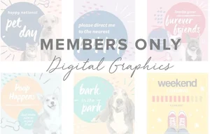 Pet Marketing Ideas — Sprout Marketing