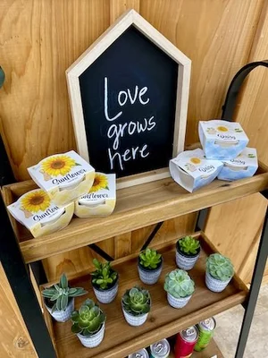 Top Spring Events for Apartment Communities — Sprout Marketing