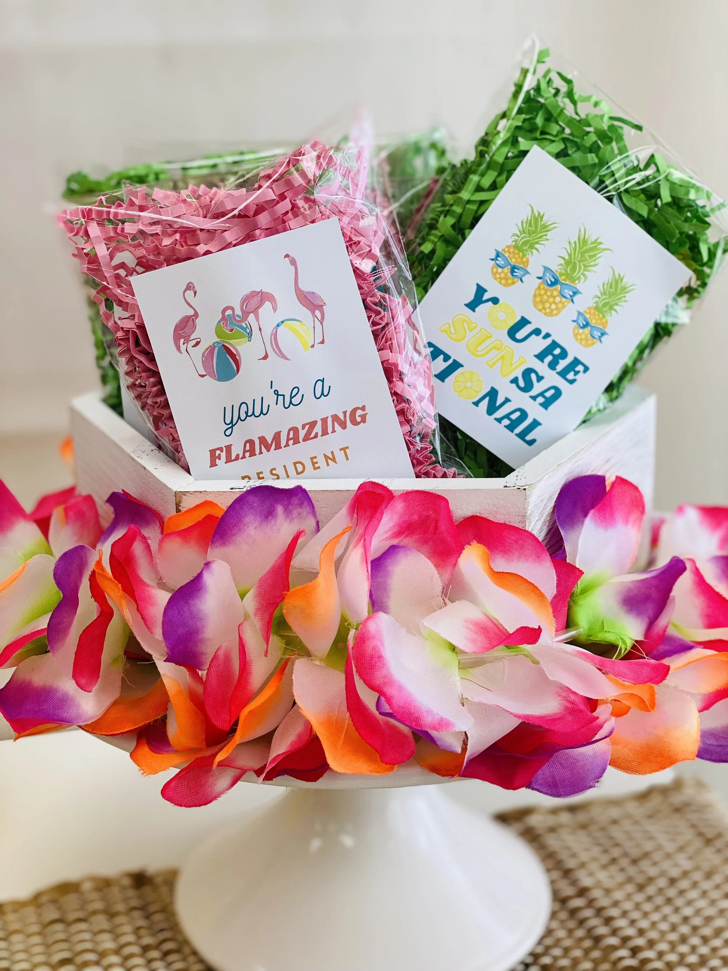 “5 Under $5.00” Ideas for Apartment Move-In & Renewal Gifts — Sprout ...