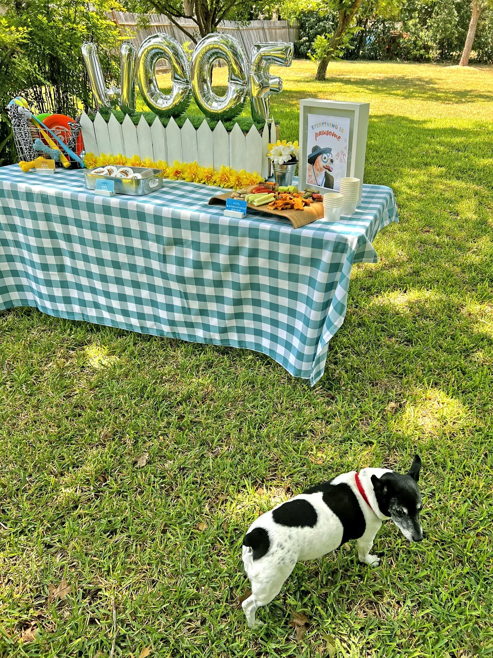 Apartment Ideas & Resident Events for July — Sprout Marketing