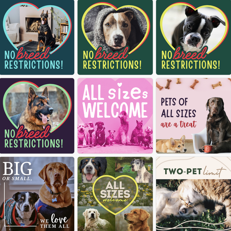 Creative Ways to Integrate Pet-Friendly Touches in Your Apartment ...
