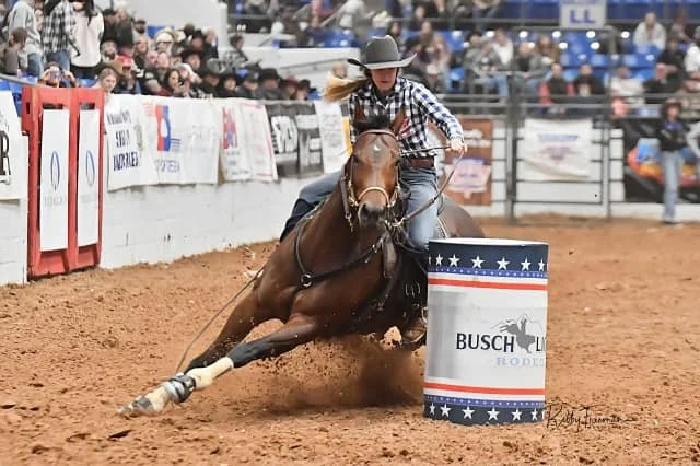 ALFA FORCE EQUINE | Enhance Horse Health Today