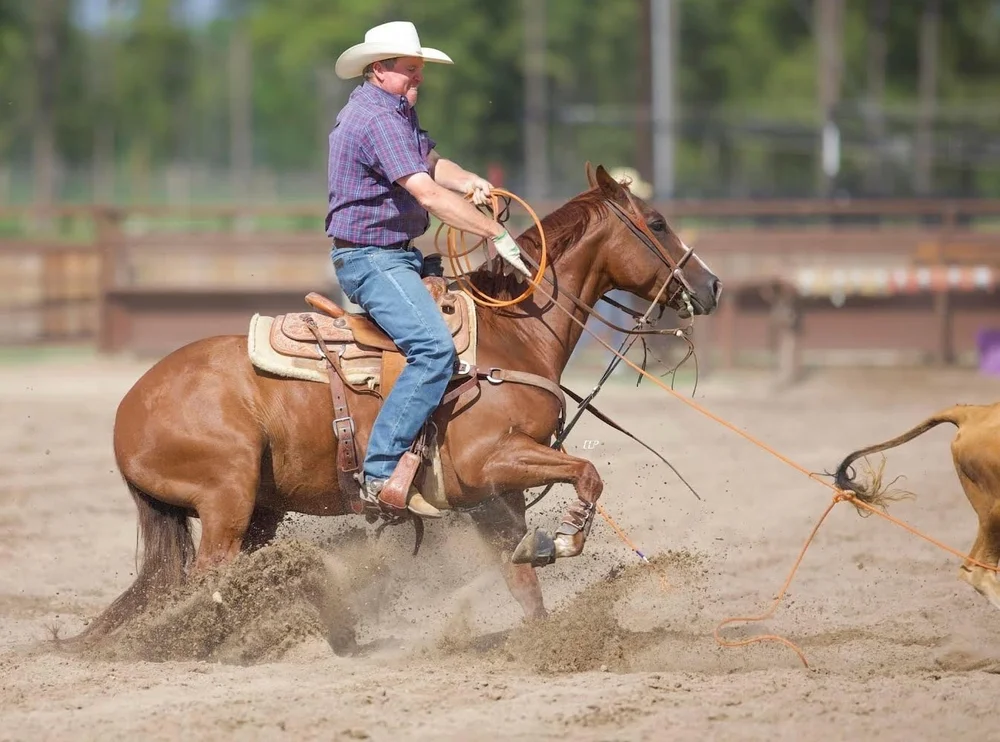 Pro Rodeo Team — ALFA FORCE EQUINE