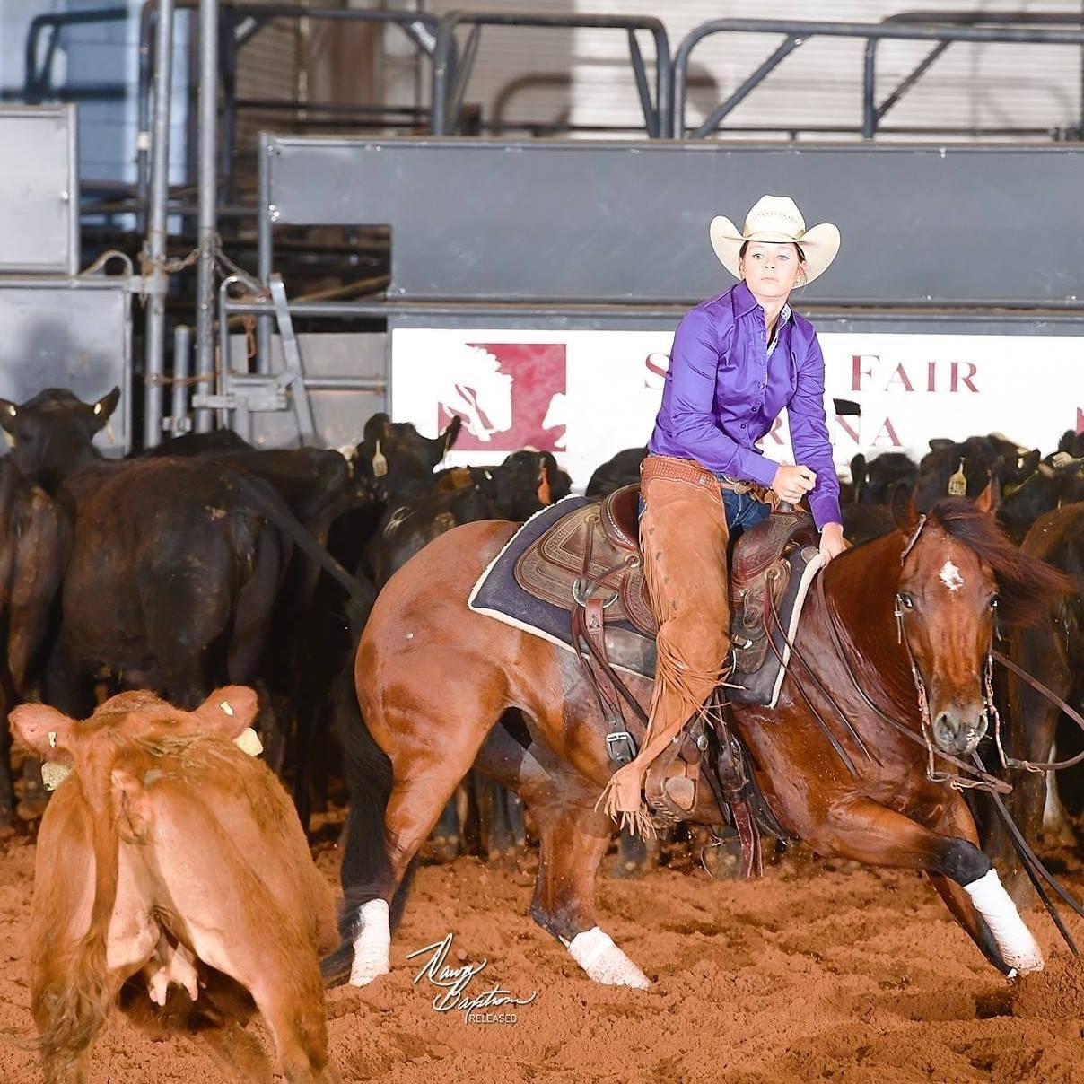 Pro Rodeo Team — ALFA FORCE EQUINE