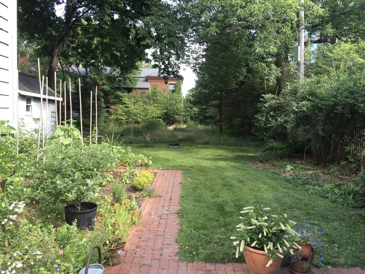 Events — Wild Seed Project