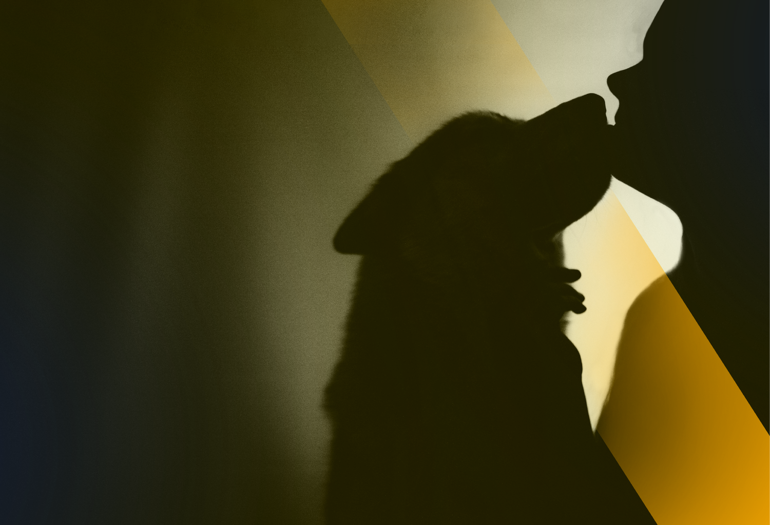 Veterans Assistance Dogs of Texas | Empower a Veteran Today