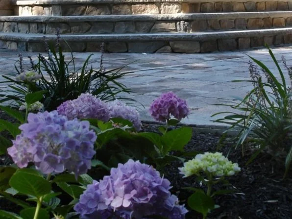 Eric's Nursey and Landscaping Services