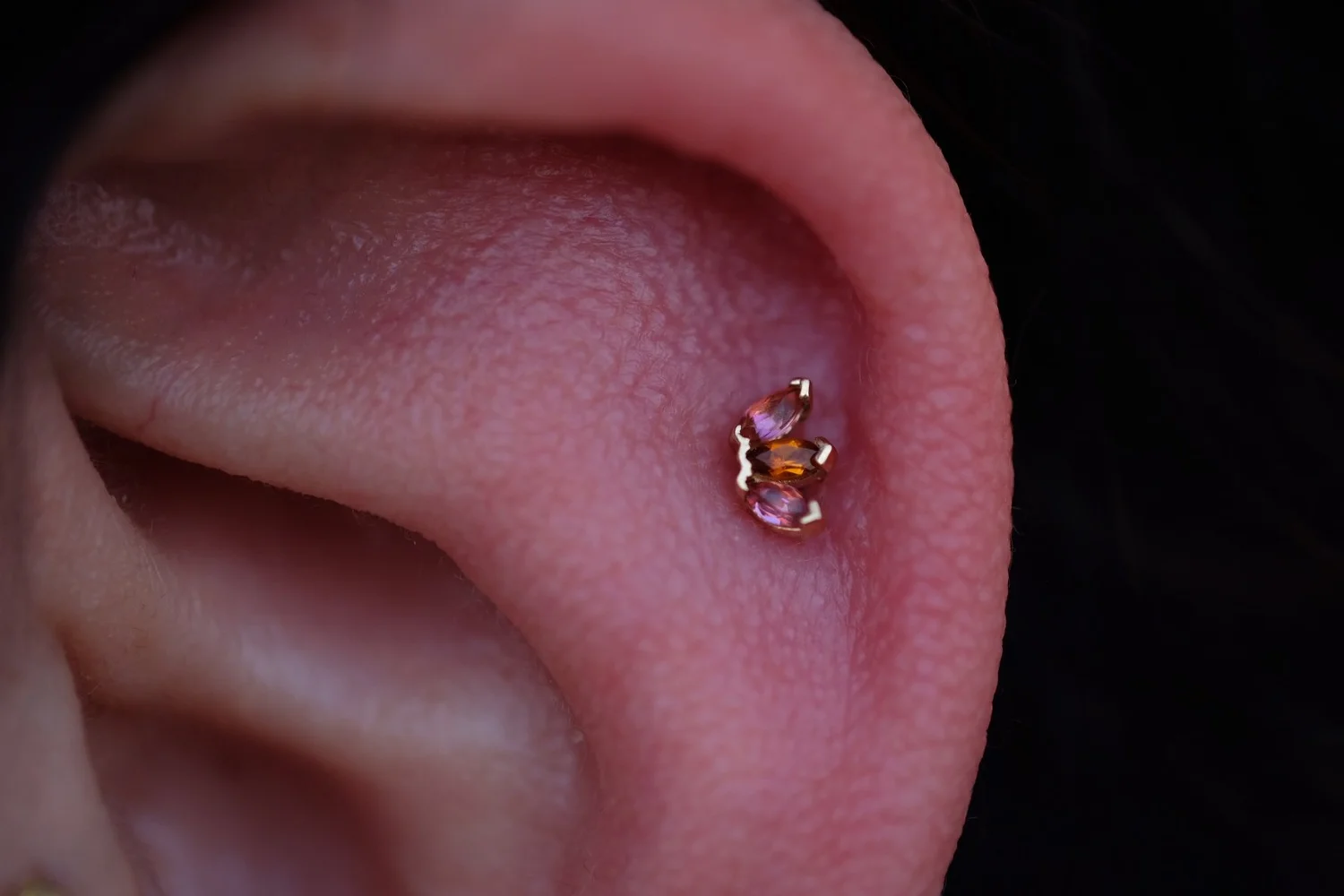 Piercings — TATTOO PARADISE