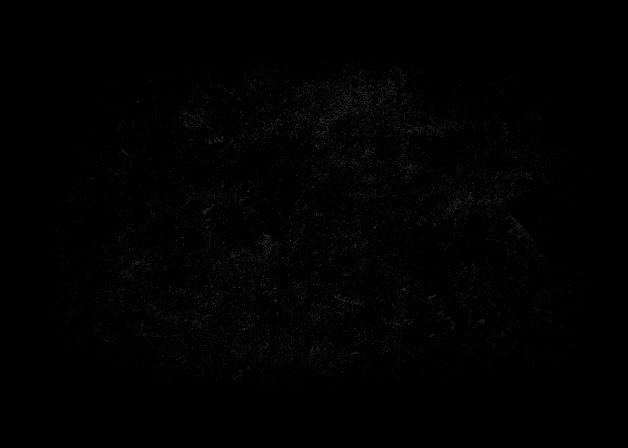 Elite Velocity Program!